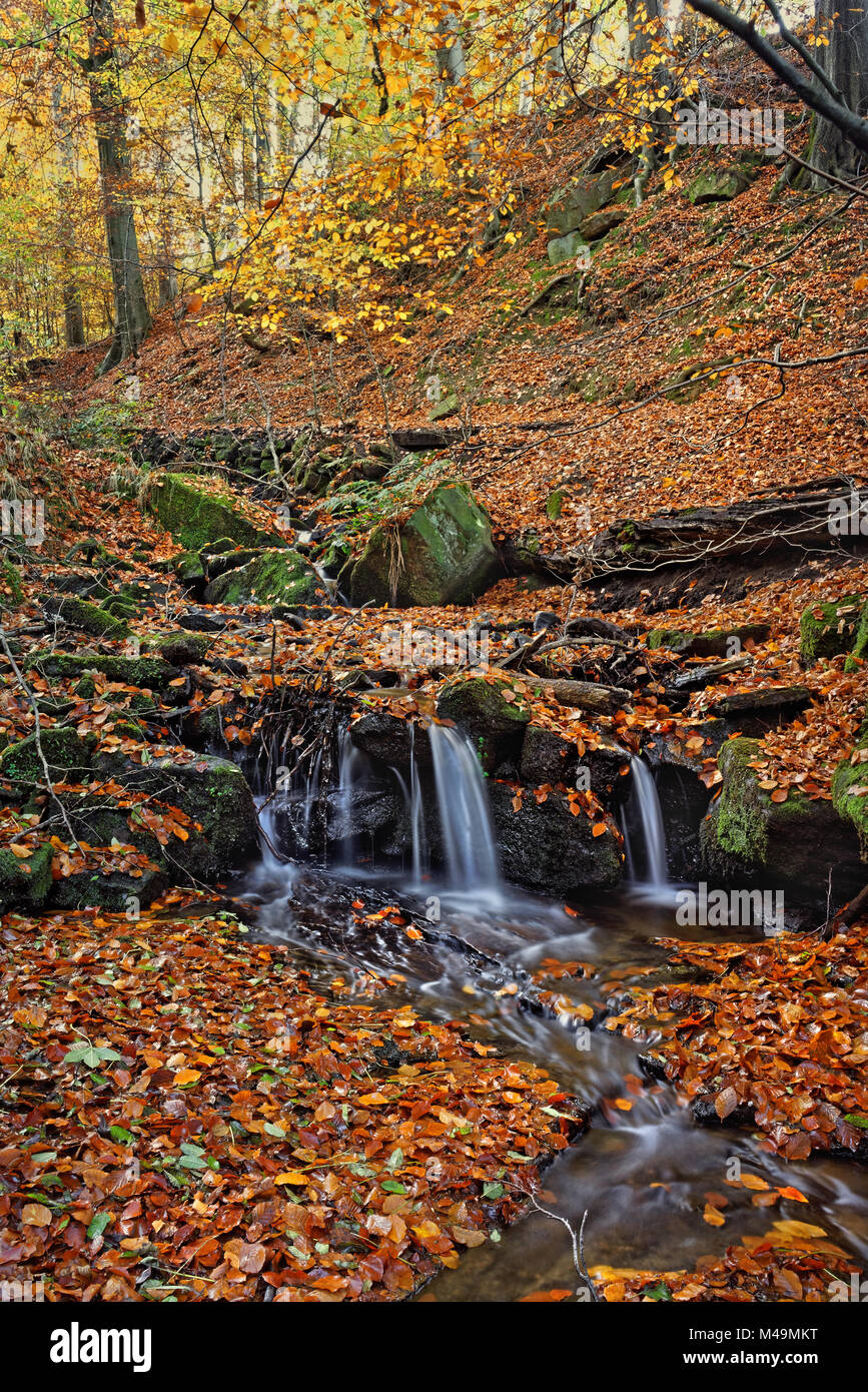 Porter brook river hi-res stock photography and images - Alamy