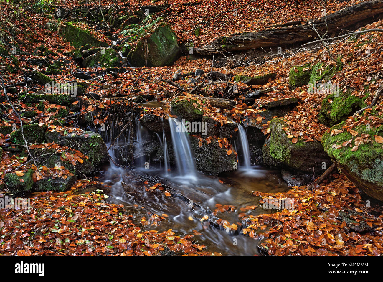 Porter brook river hi-res stock photography and images - Alamy