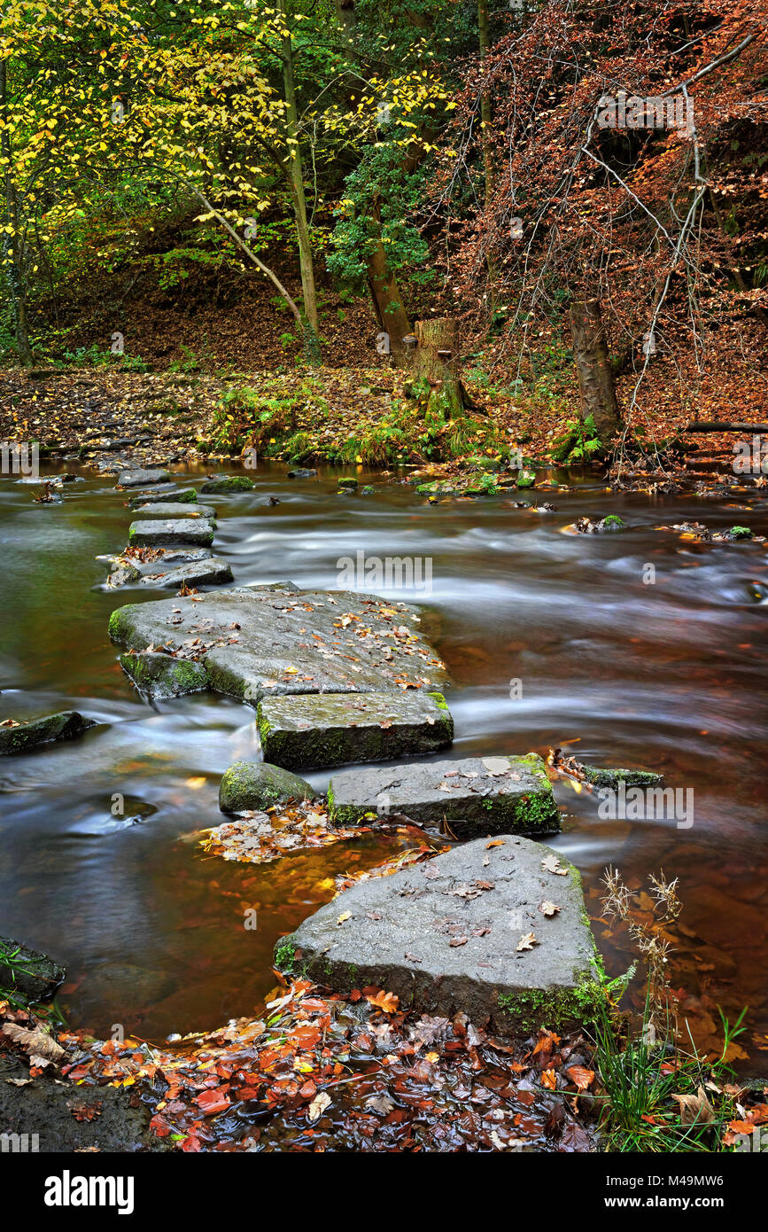 UK, South Yorkshire, Sheffield, Rivelin Stepping Stones Stock Photo - Alamy