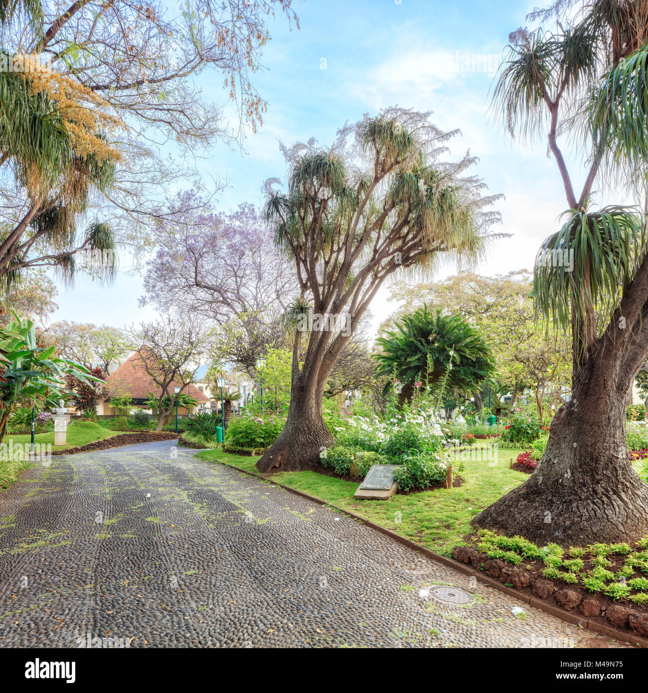 Downtown of Funchal, Madeira Stock Photo - Alamy