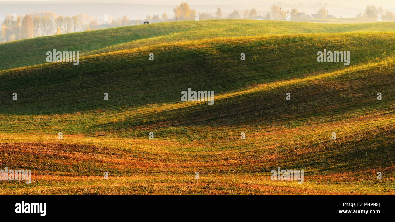 autumn field. picturesque hilly field Stock Photo - Alamy