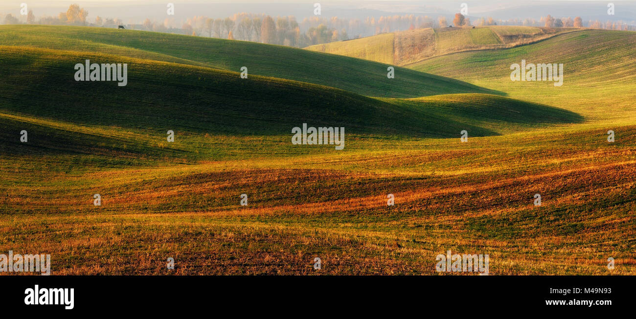 autumn field. picturesque hilly field Stock Photo - Alamy