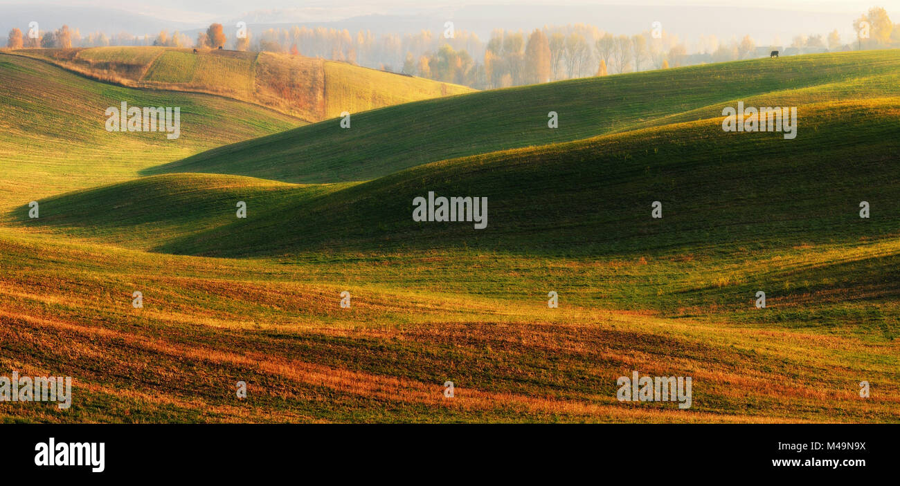autumn field. picturesque hilly field Stock Photo - Alamy