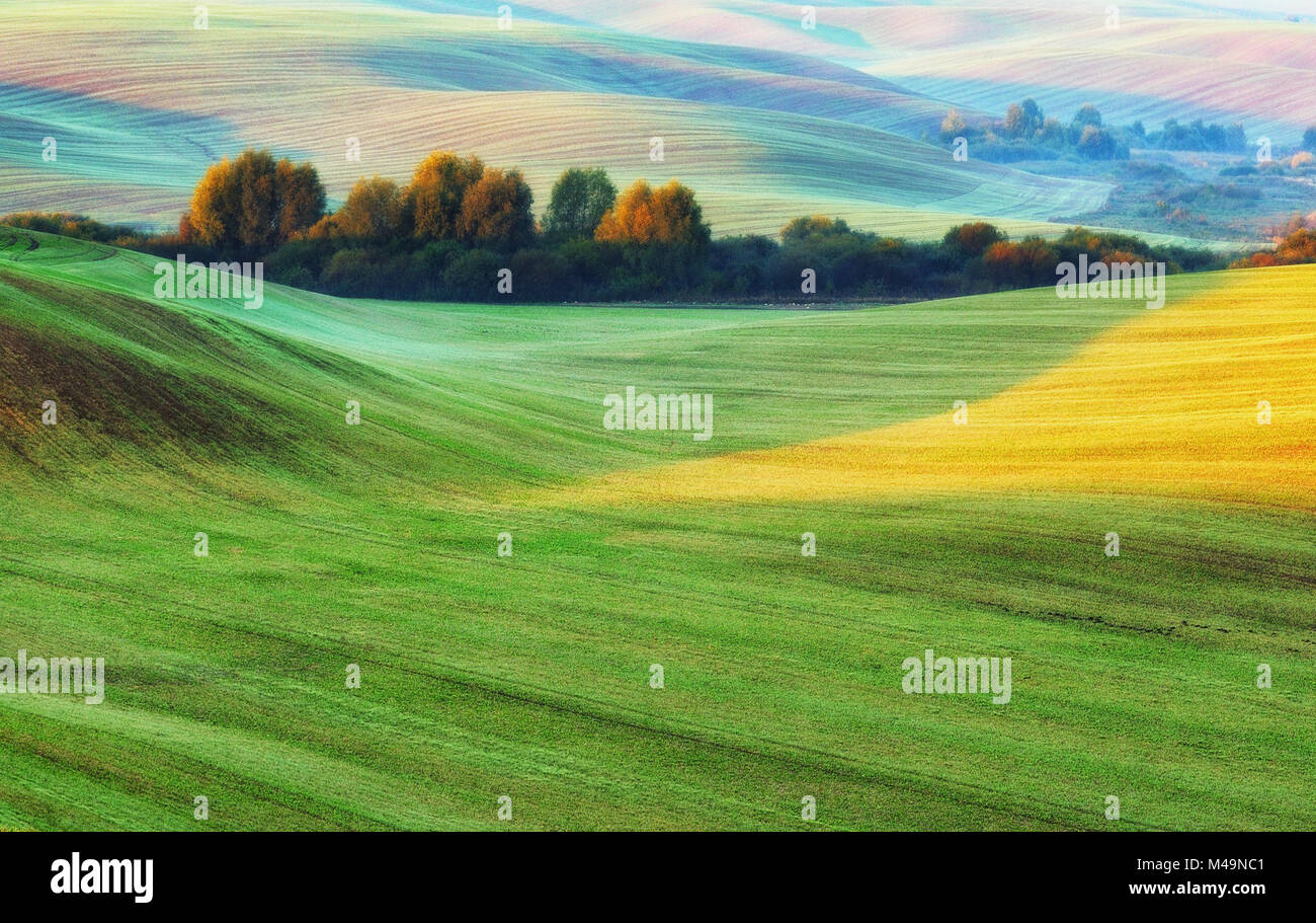 autumn field. picturesque hilly field Stock Photo - Alamy