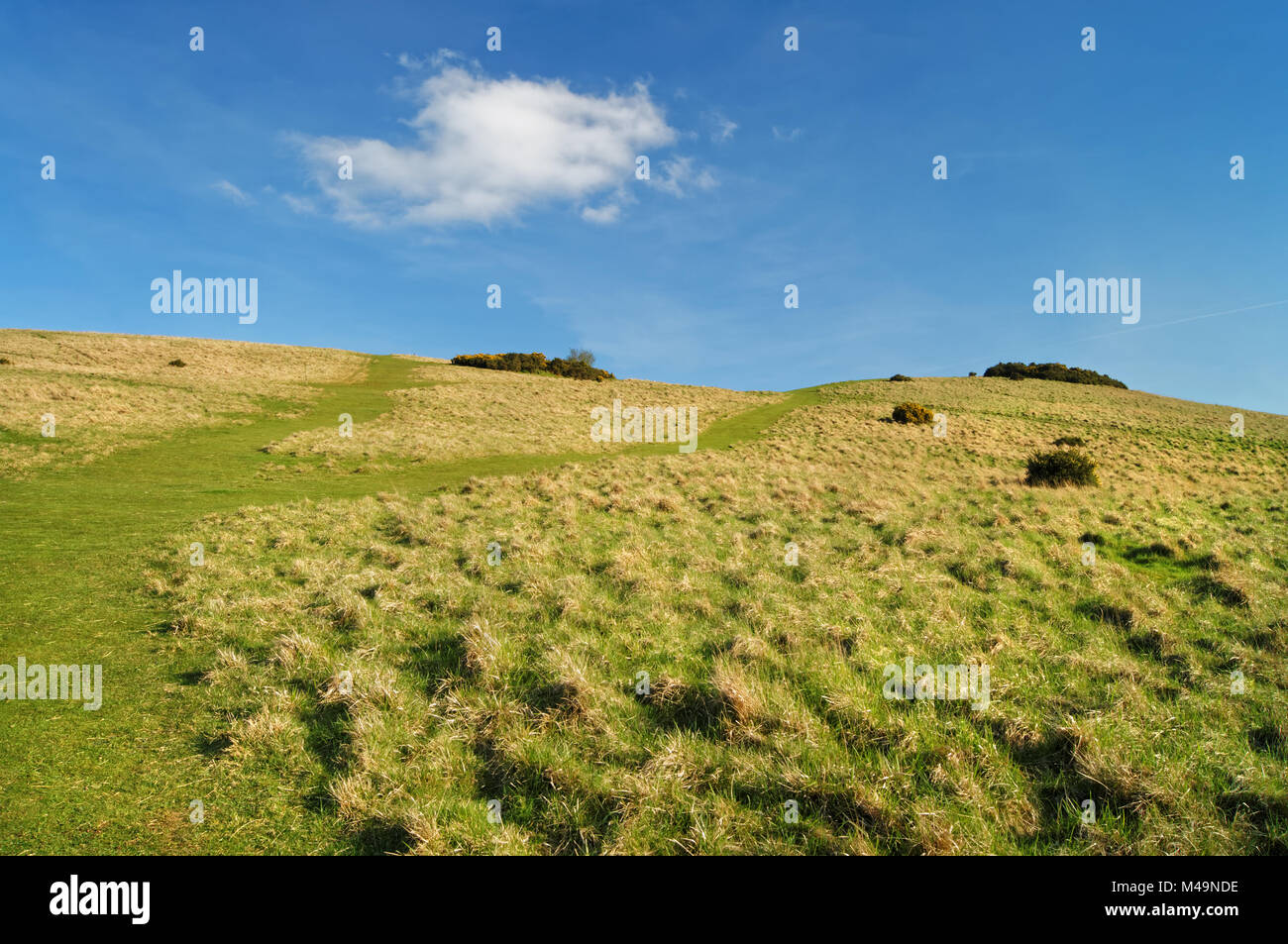 Cleve hill hi-res stock photography and images - Alamy