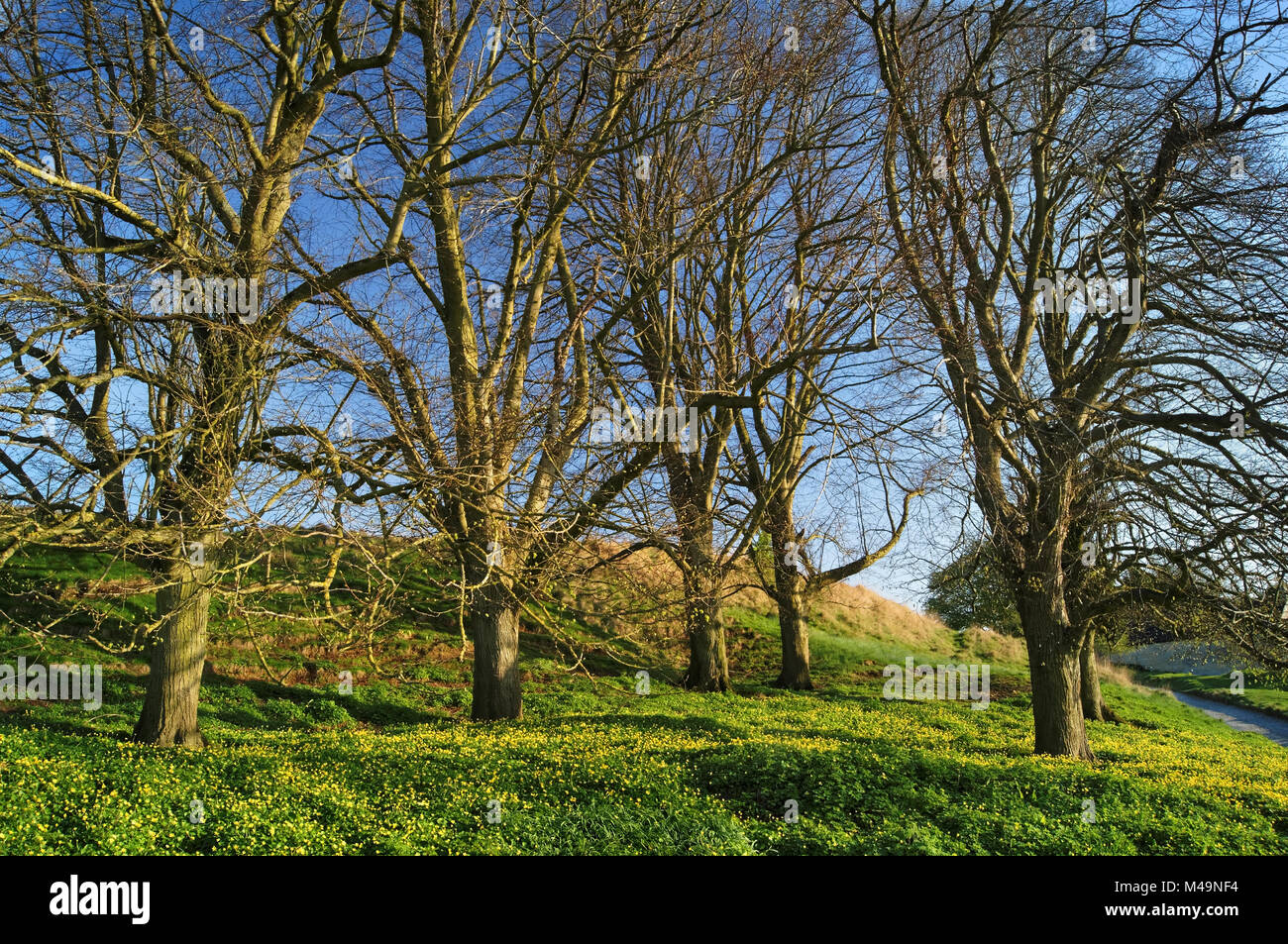 Cleve hill hi-res stock photography and images - Alamy