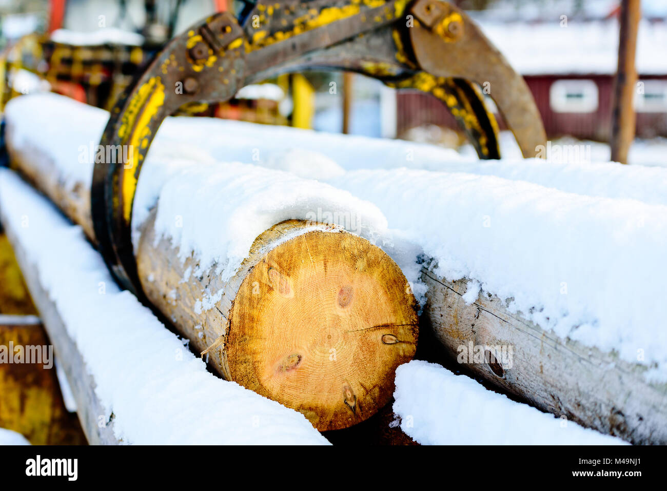 Timber gripper picking up snow covered log from stack on small trailer ...