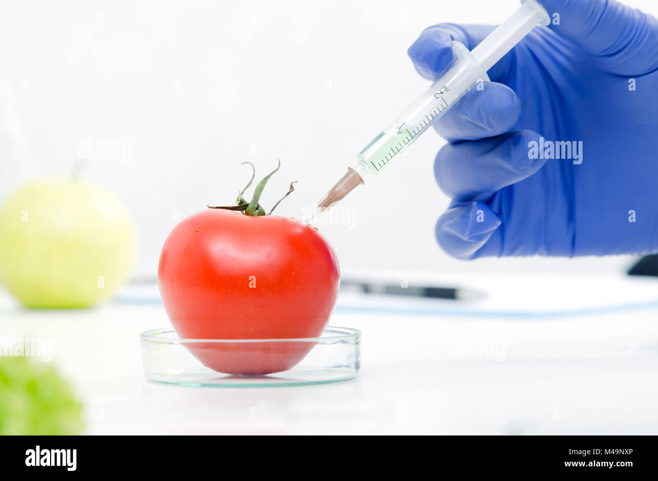 Scientist is working on genetically modified food. Lab GMO research ...
