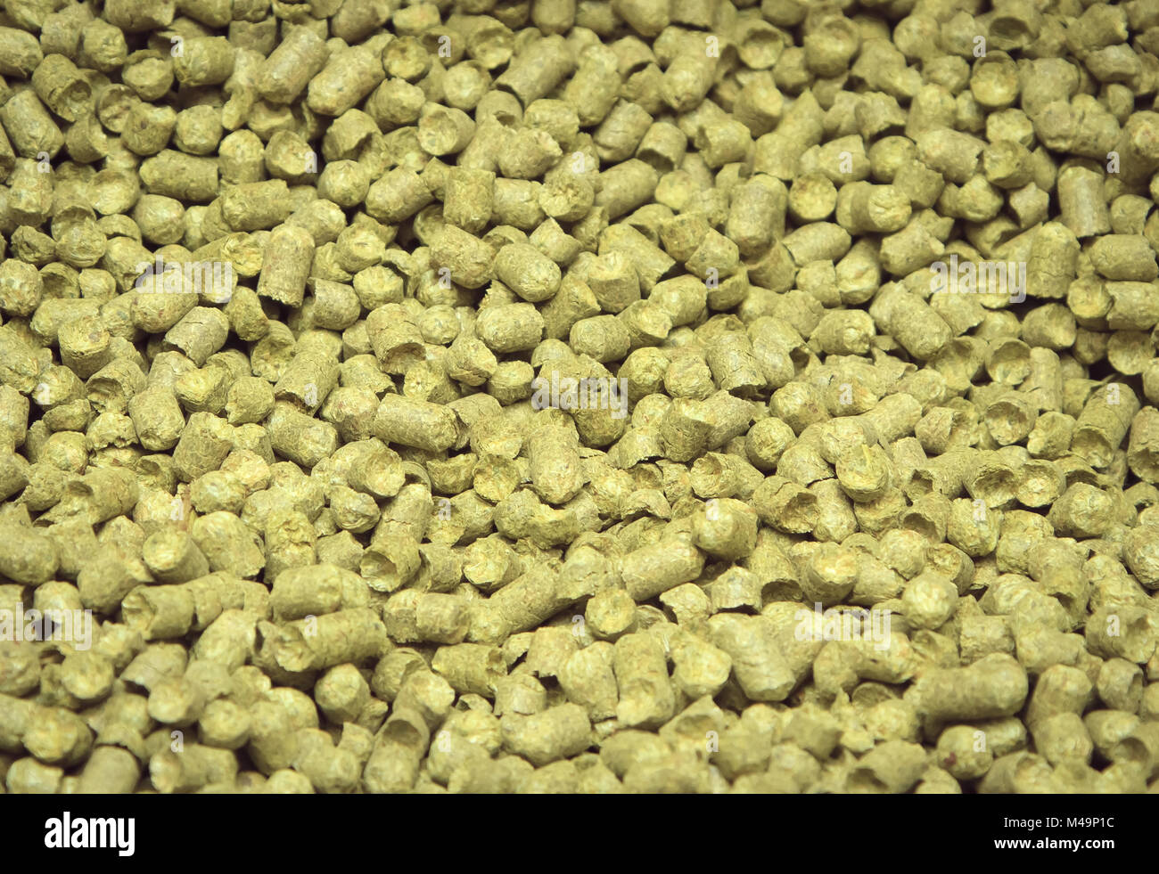 Malt background. Ingredient for beer Stock Photo - Alamy