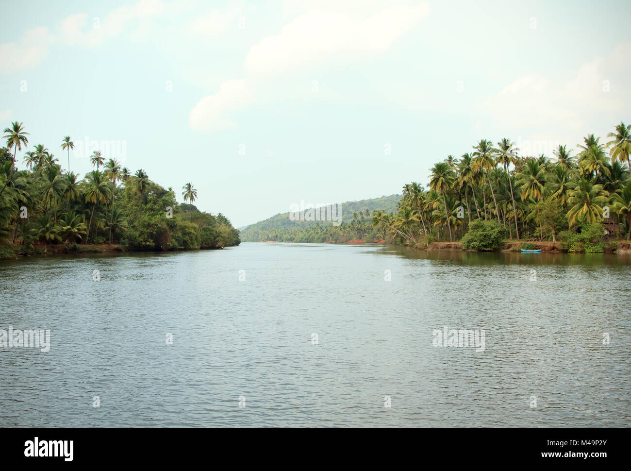 Goa india tropical rainforest hi-res stock photography and images - Alamy