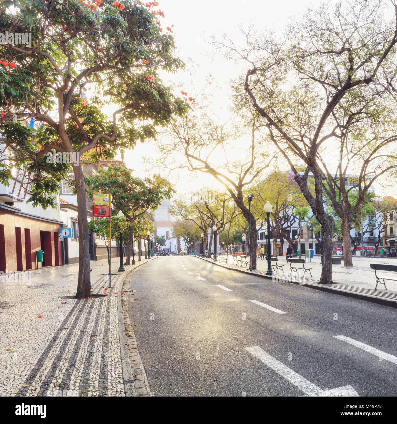 Funchal city town village hi-res stock photography and images - Alamy