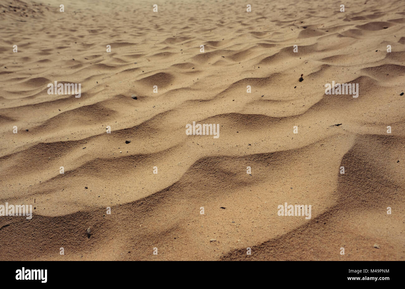 Sandy background at dunes Stock Photo - Alamy