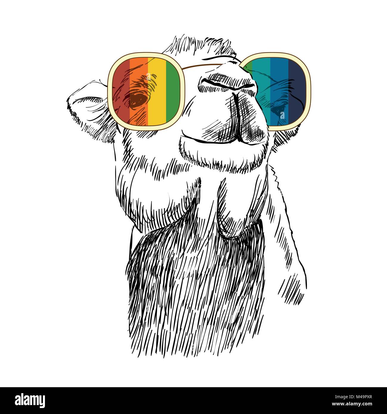 Camel Art High Resolution Stock Photography and Images - Alamy