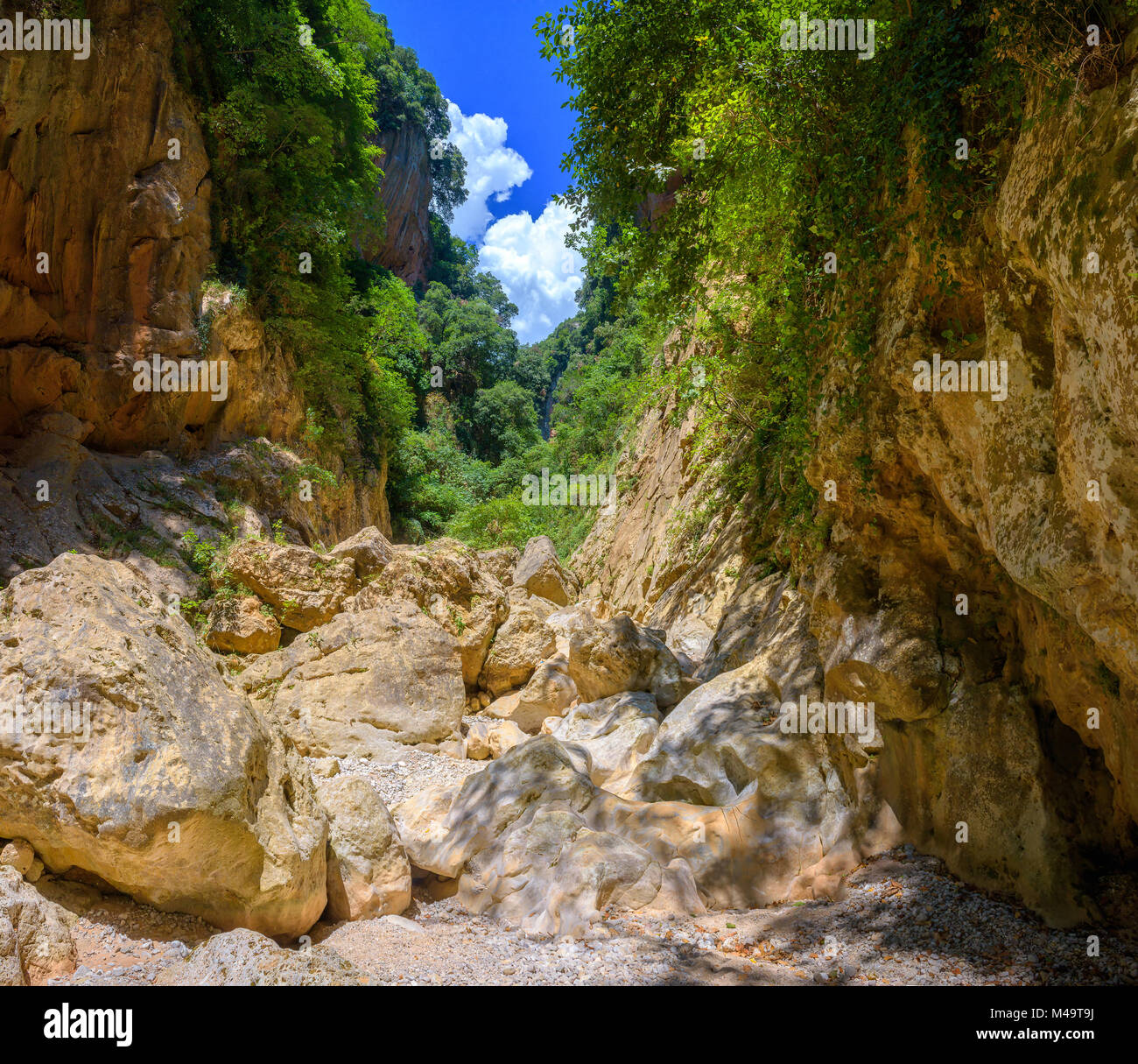 canyon with steep slopes which have densely overgrown greens, with the ...