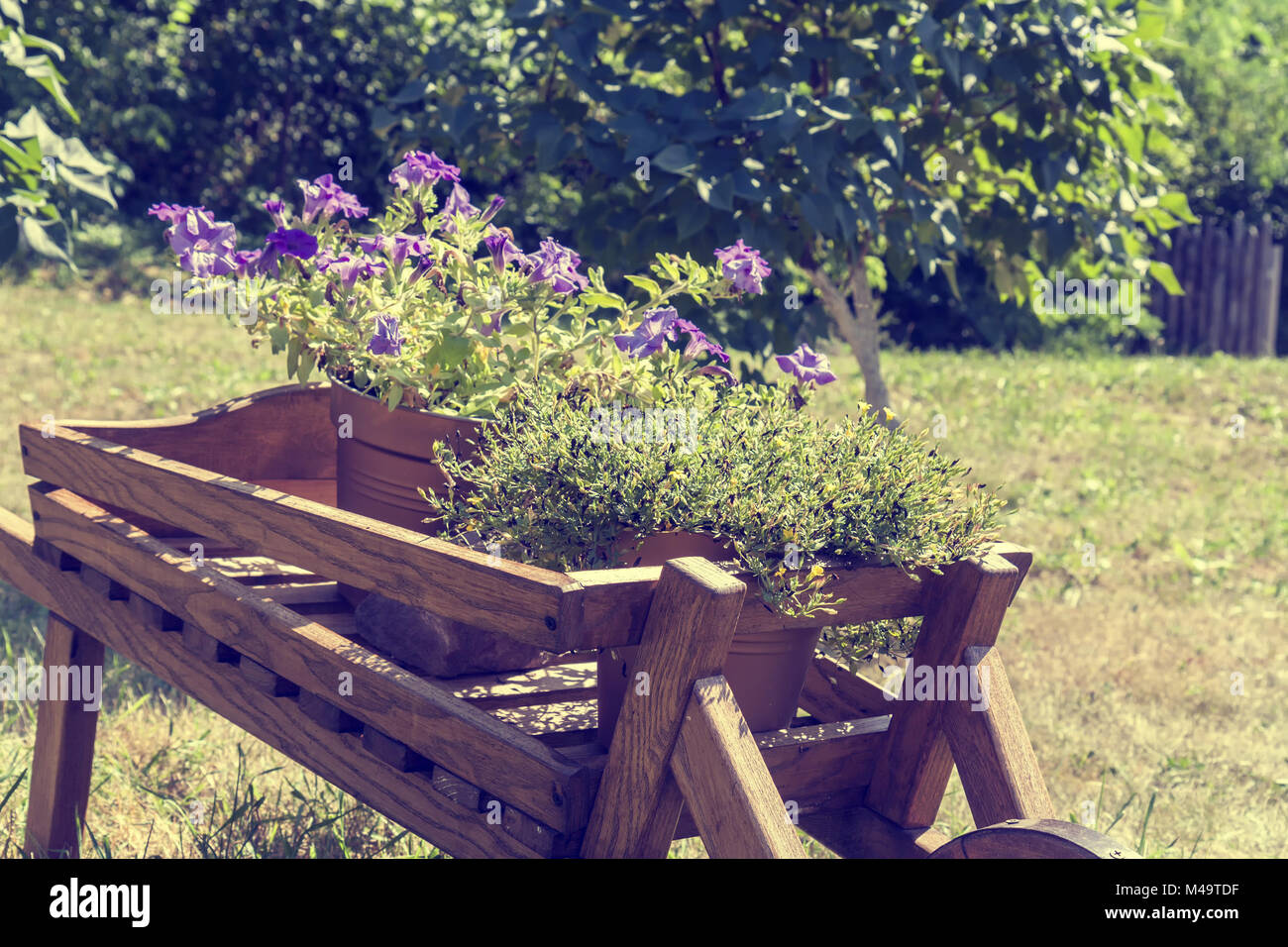 Wheelbarrow wooden decoration with flowers in a garden Stock Photo - Alamy