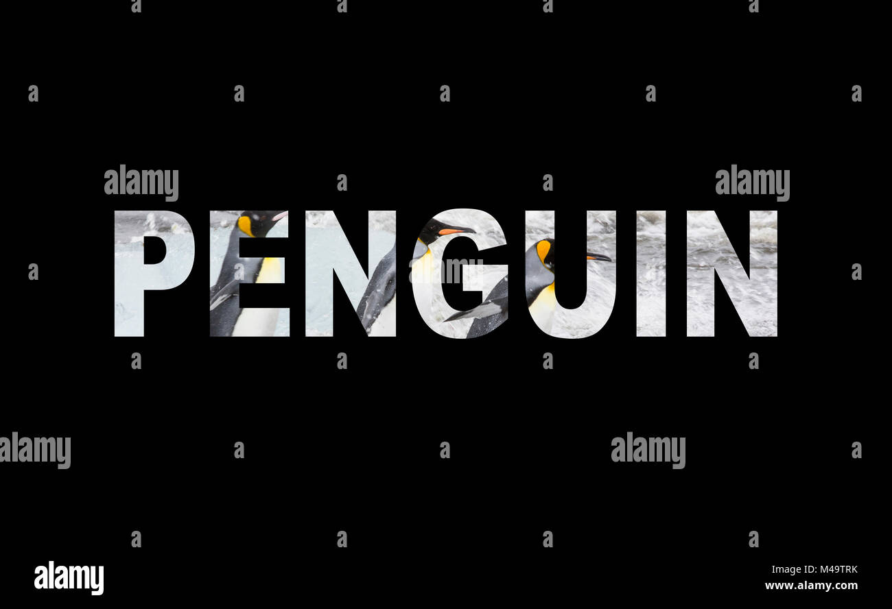 Penguin word hi-res stock photography and images - Alamy