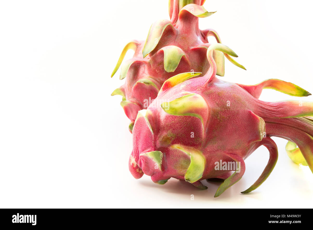 Isolated tropical pitaya, dragon fruit on white background. Close up ...