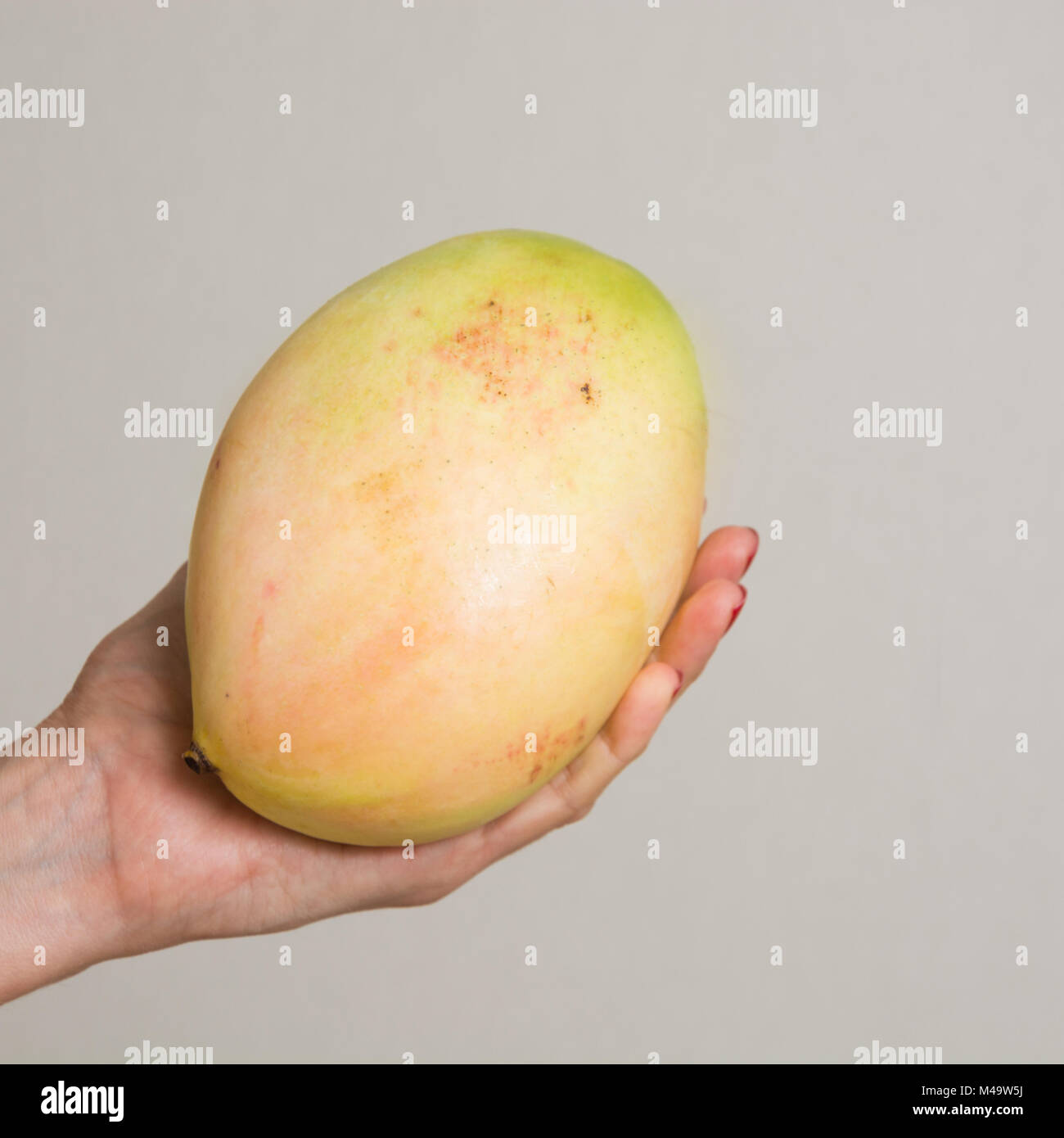 Female hand holds a ripe mango. Close up Stock Photo - Alamy