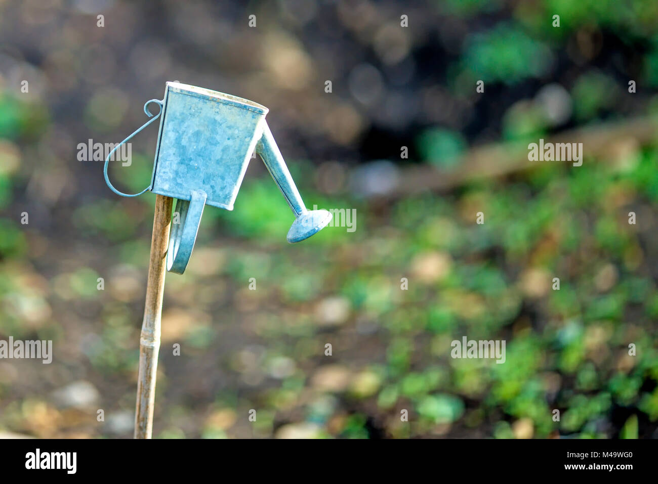 mini watering can in a garden Stock Photo - Alamy