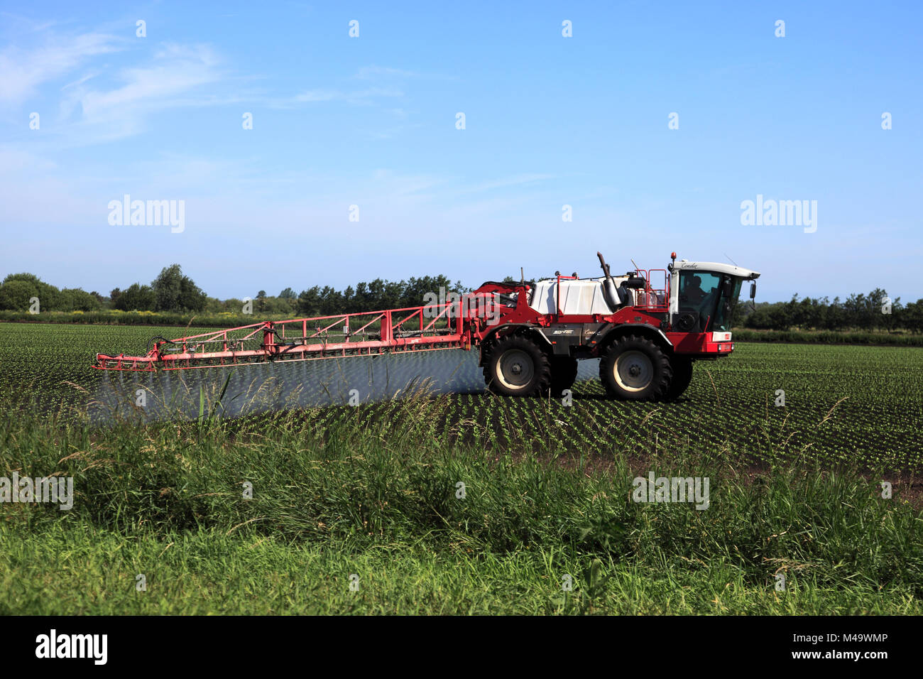 Fenland field near ely town hi-res stock photography and images - Alamy