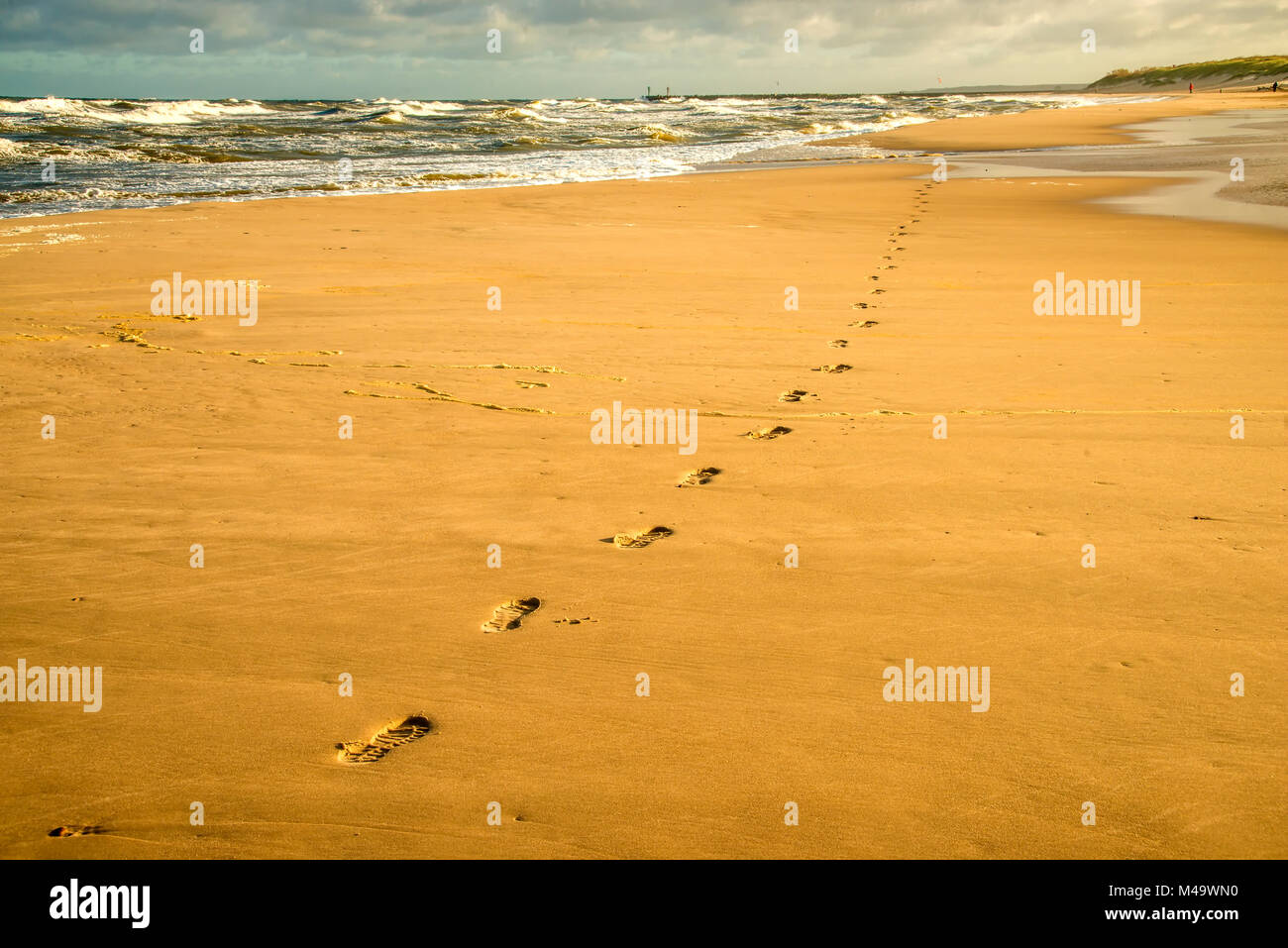 Human track hi-res stock photography and images - Alamy