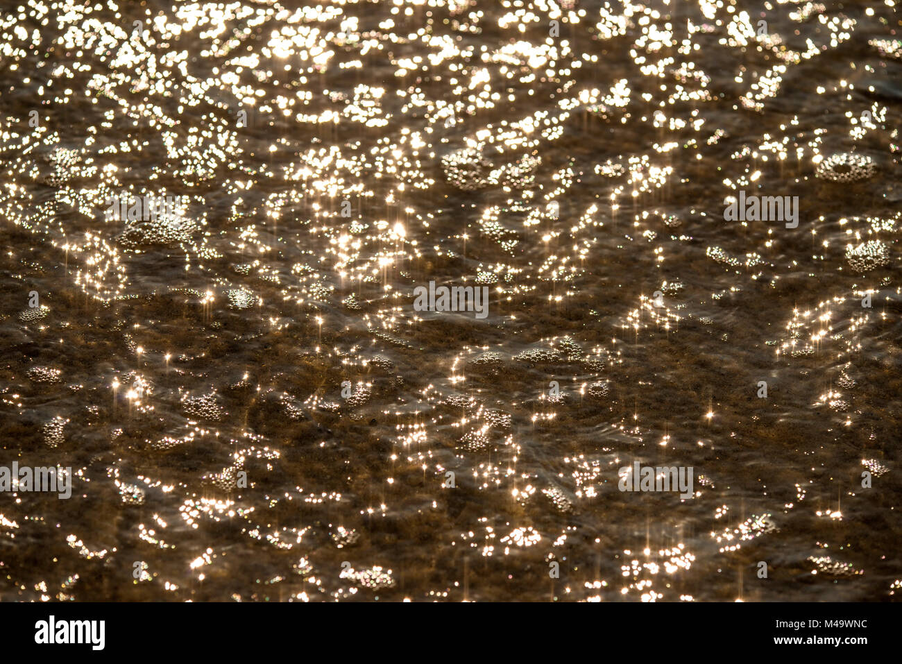Water with sun reflections Stock Photo - Alamy
