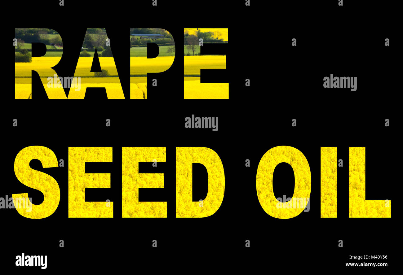 Rape Seed Oil Stock Photo - Alamy