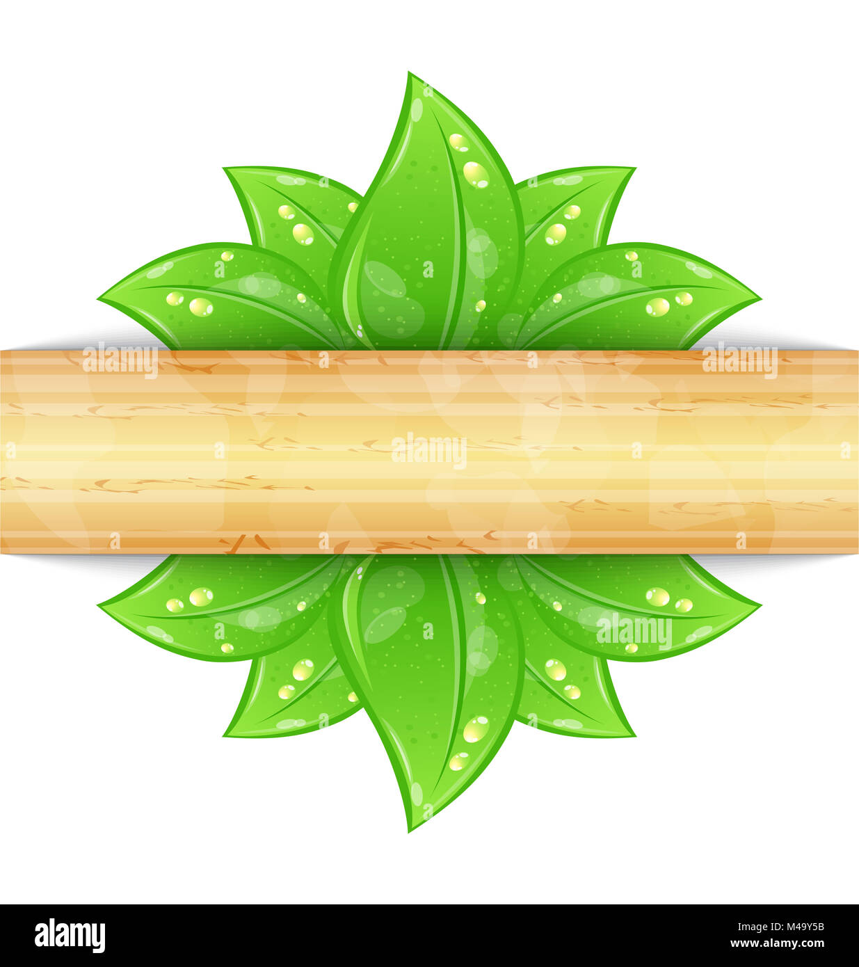 Eco friendly background with green leaves, wooden texture Stock Photo ...