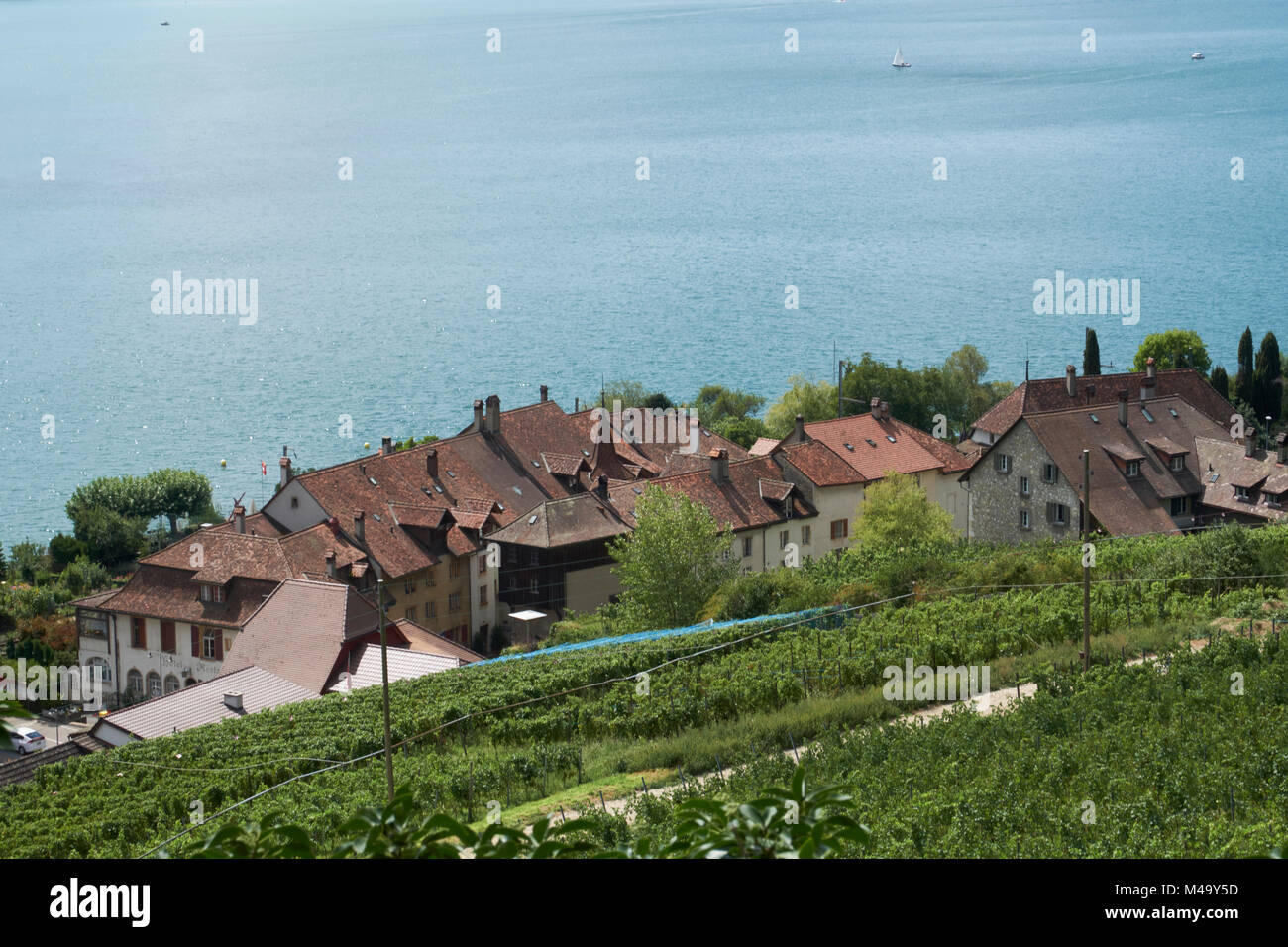 Ligerz, Switzerland, lake of Biel Stock Photo - Alamy