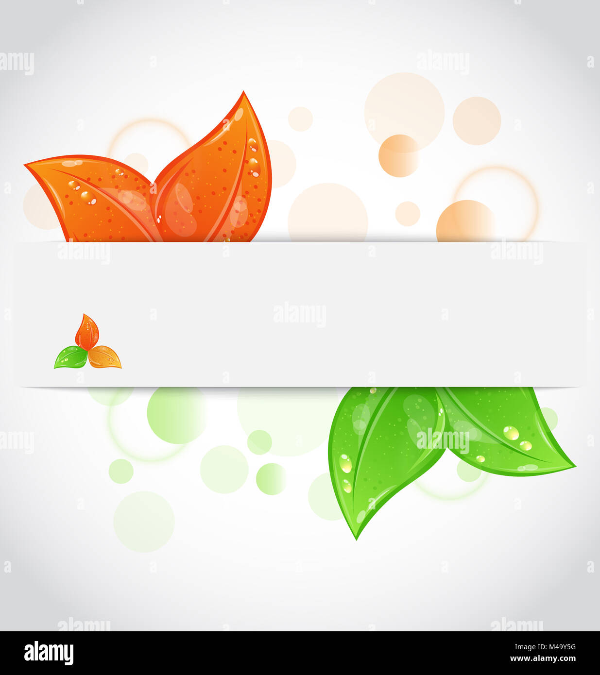 Autumn seasonal nature background with changing leaves Stock Photo - Alamy