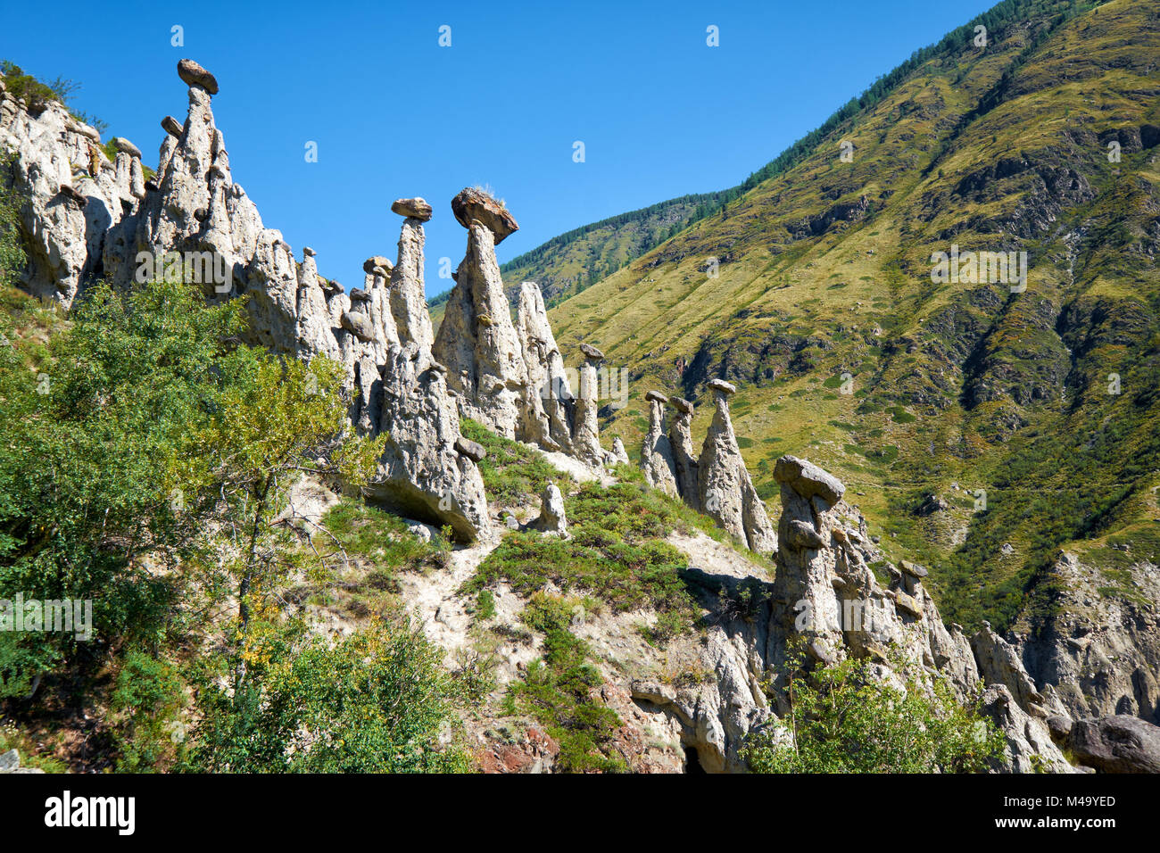 Nature phenomenon Stone Mushrooms in Altai mountains near river ...