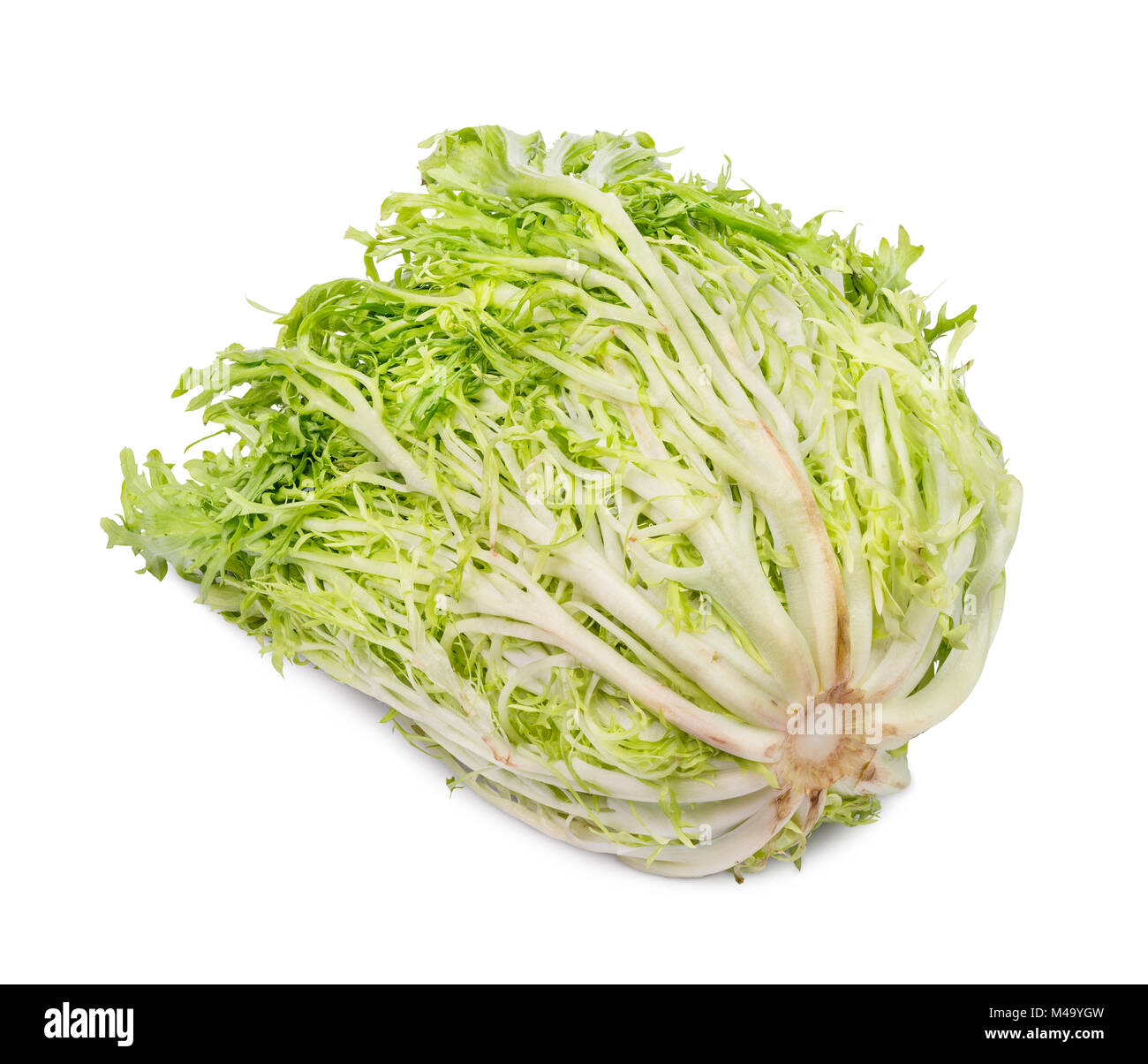 Endive leaf Cut Out Stock Images & Pictures - Alamy