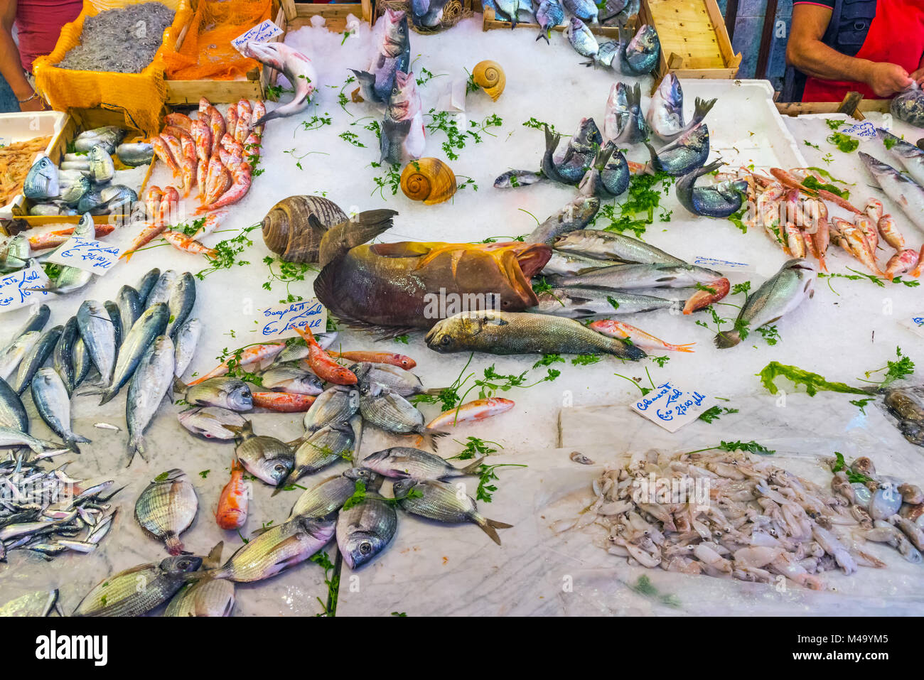 Seafood and fish at a market in Sicily Stock Photo - Alamy