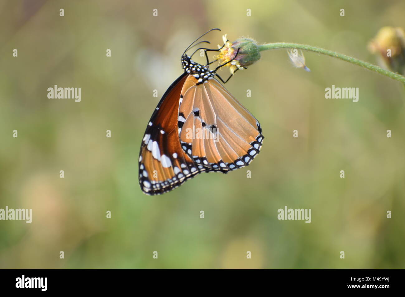 You can tell stories with your expression Stock Photo - Alamy