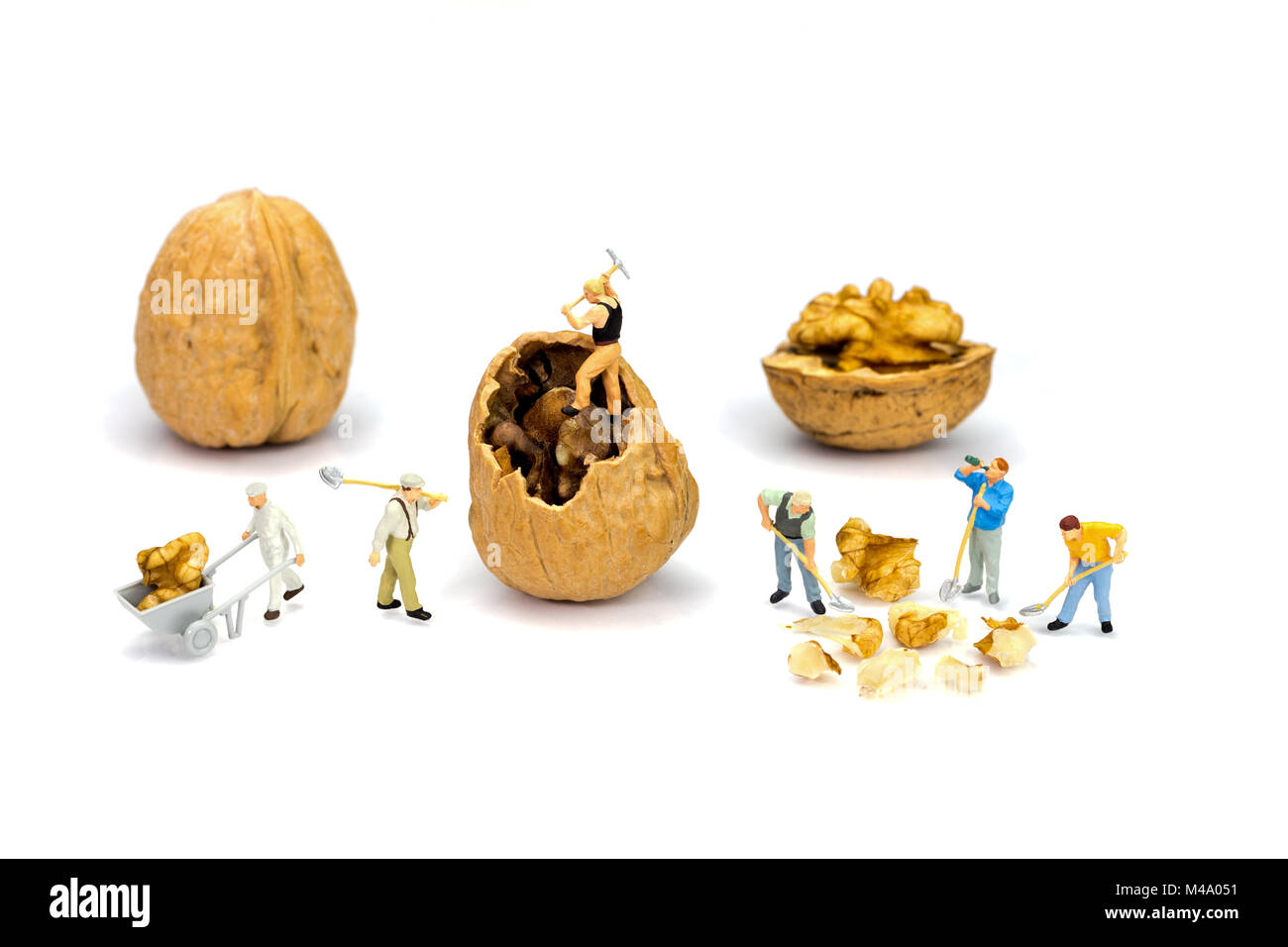 Team of miniature human figurines transporting walnuts Stock Photo - Alamy