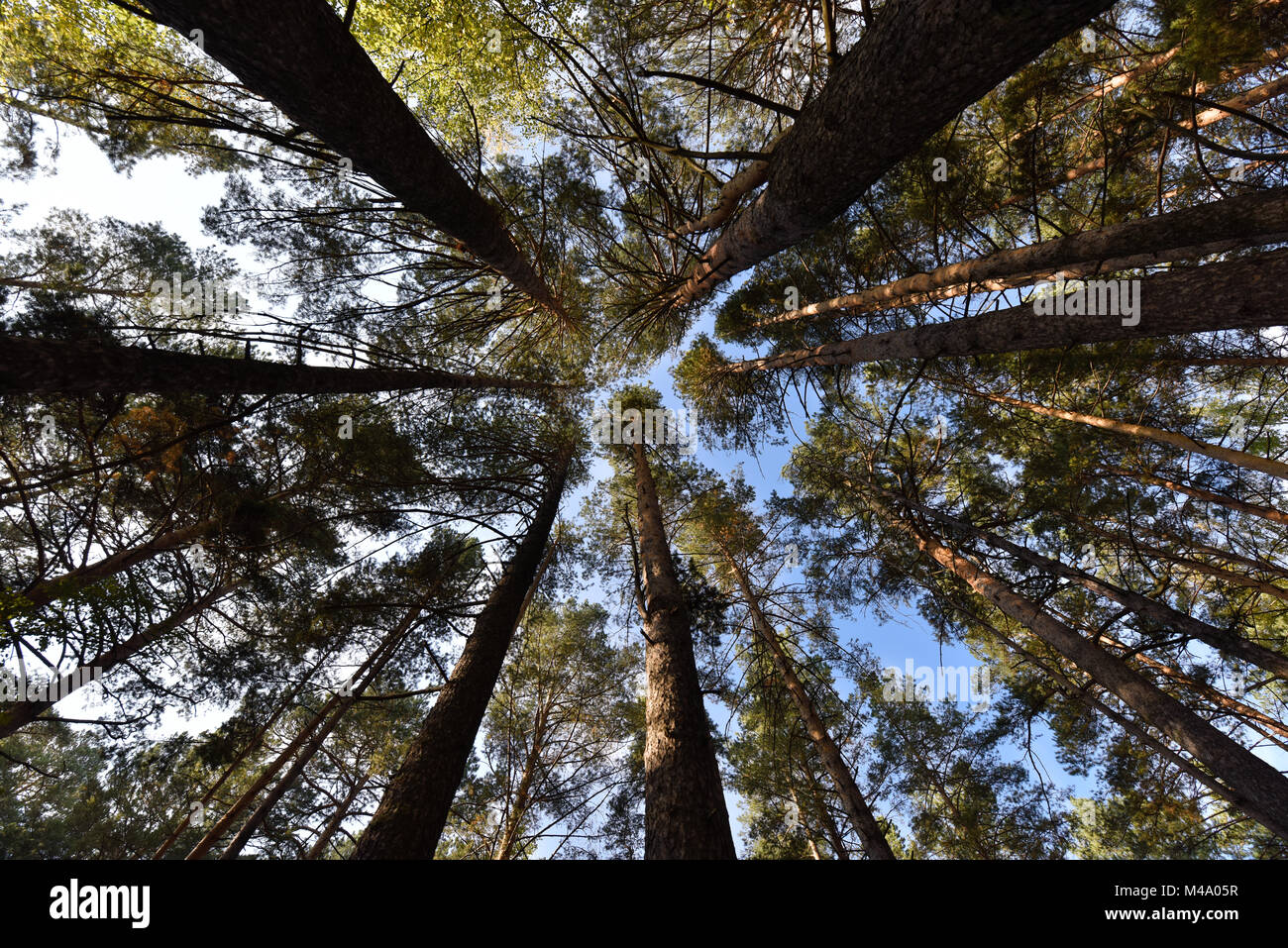 Vertical reach hi-res stock photography and images - Alamy