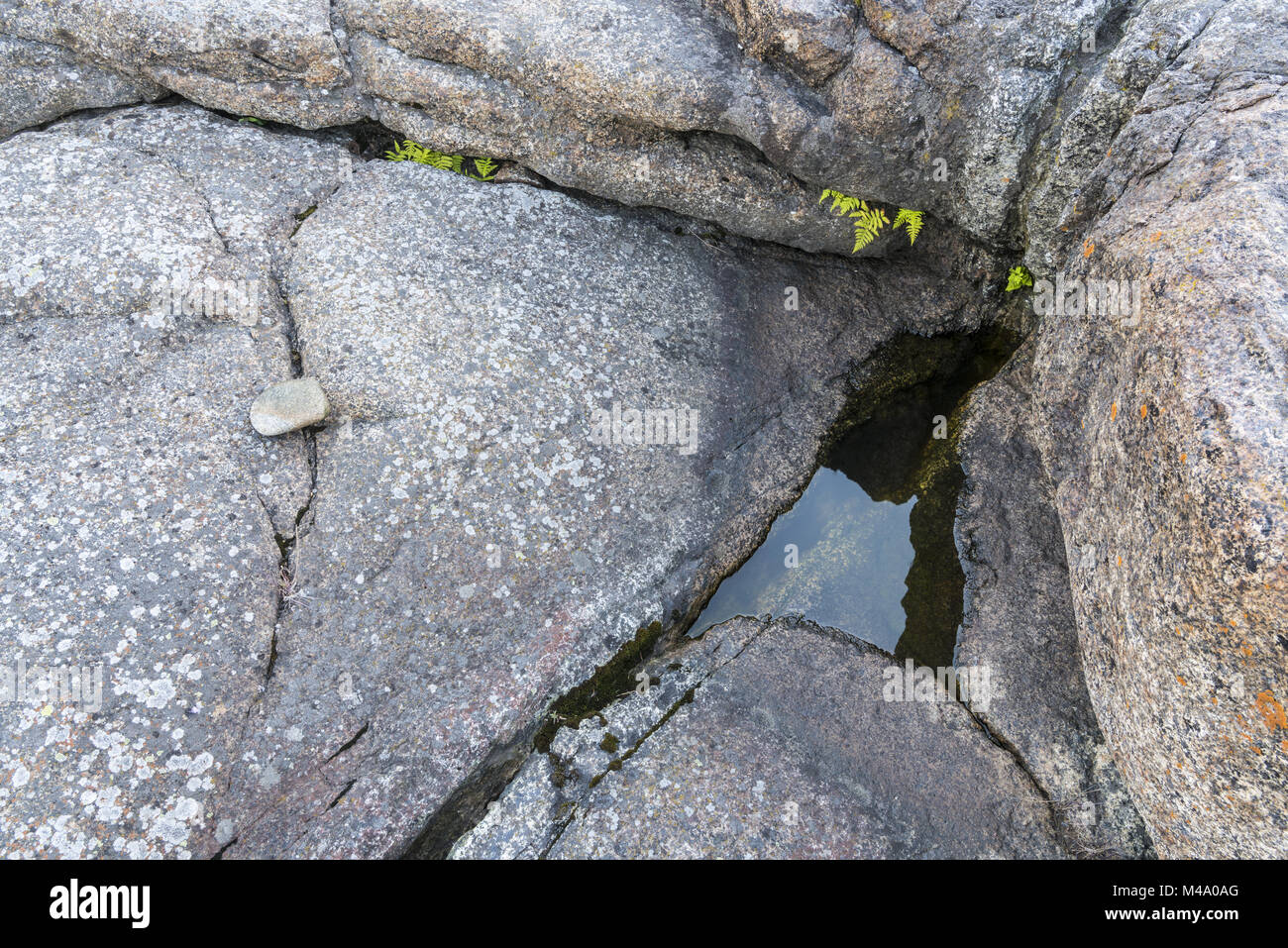 Cliff structures, world heritage Hoega Kusten, Sweden Stock Photo - Alamy