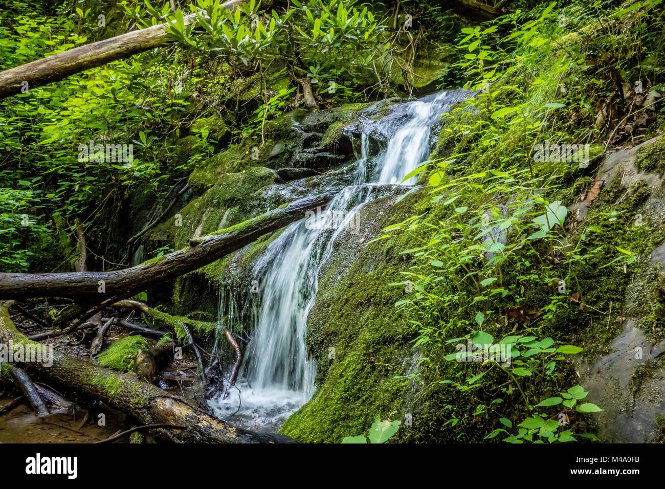 scenes along appalachian trail in great smoky mountains Stock Photo - Alamy