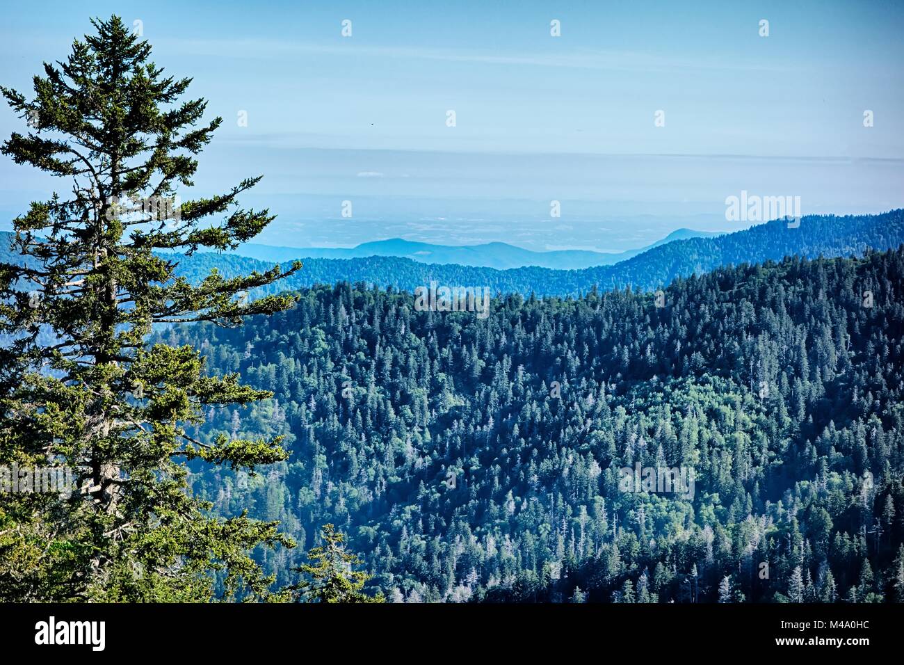 scenes along appalachian trail in great smoky mountains Stock Photo - Alamy