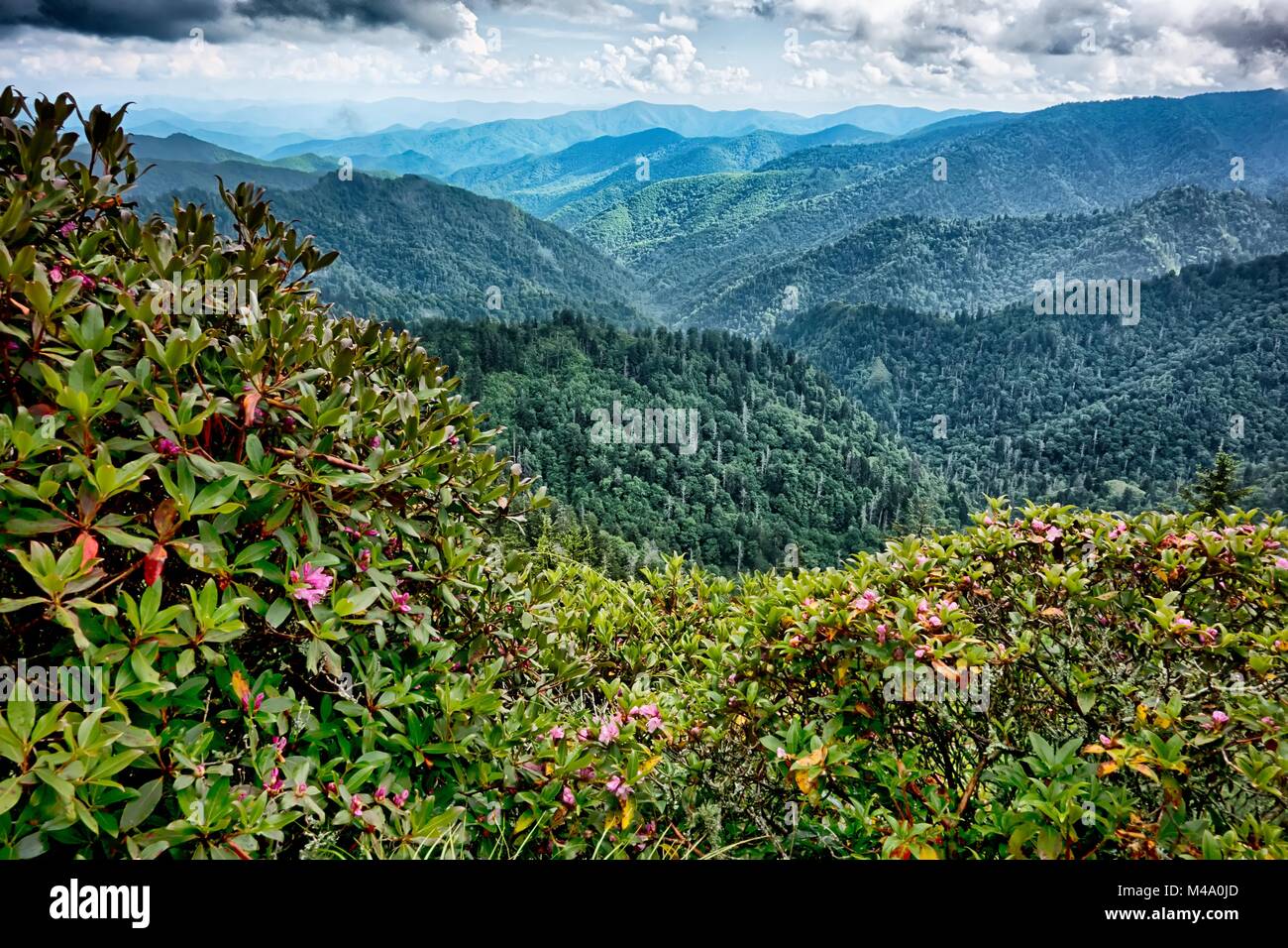 scenes along appalachian trail in great smoky mountains Stock Photo - Alamy