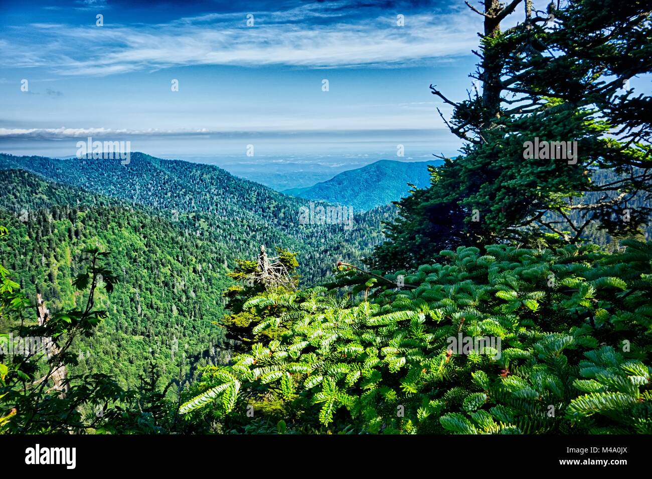 scenes along appalachian trail in great smoky mountains Stock Photo - Alamy