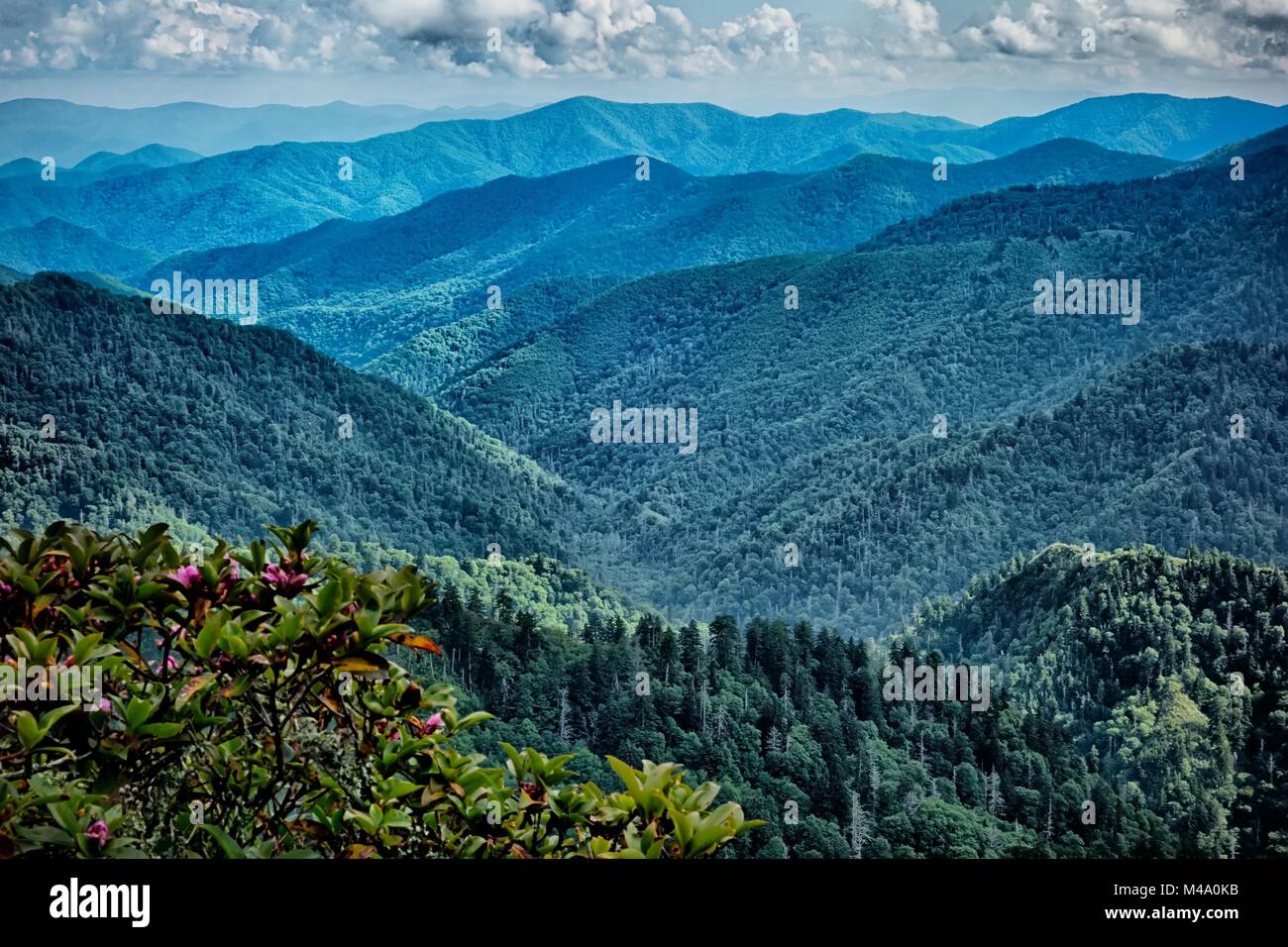scenes along appalachian trail in great smoky mountains Stock Photo - Alamy