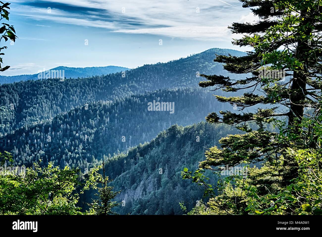 scenes along appalachian trail in great smoky mountains Stock Photo - Alamy