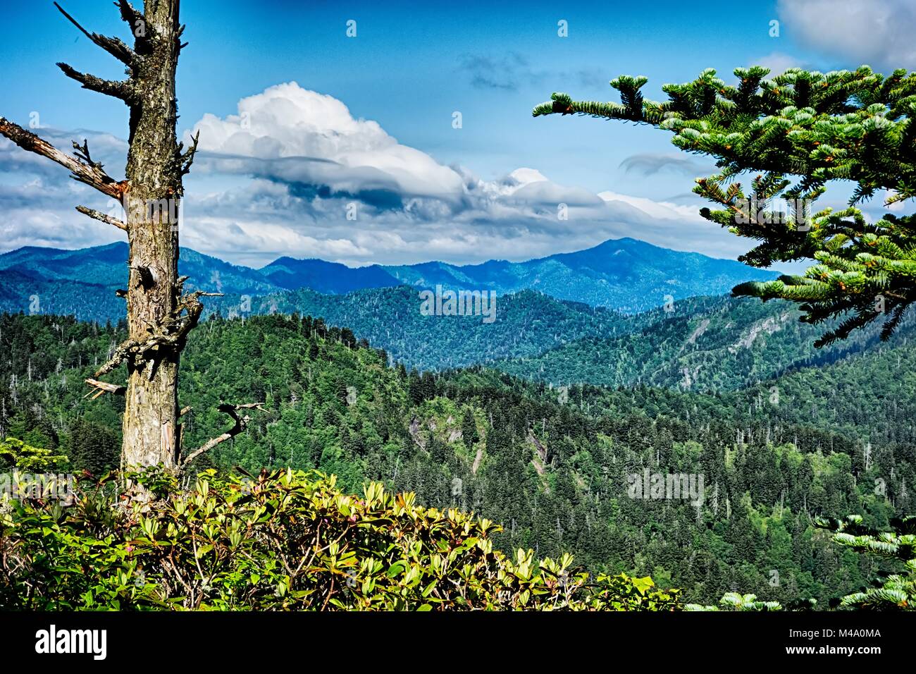 scenes along appalachian trail in great smoky mountains Stock Photo - Alamy