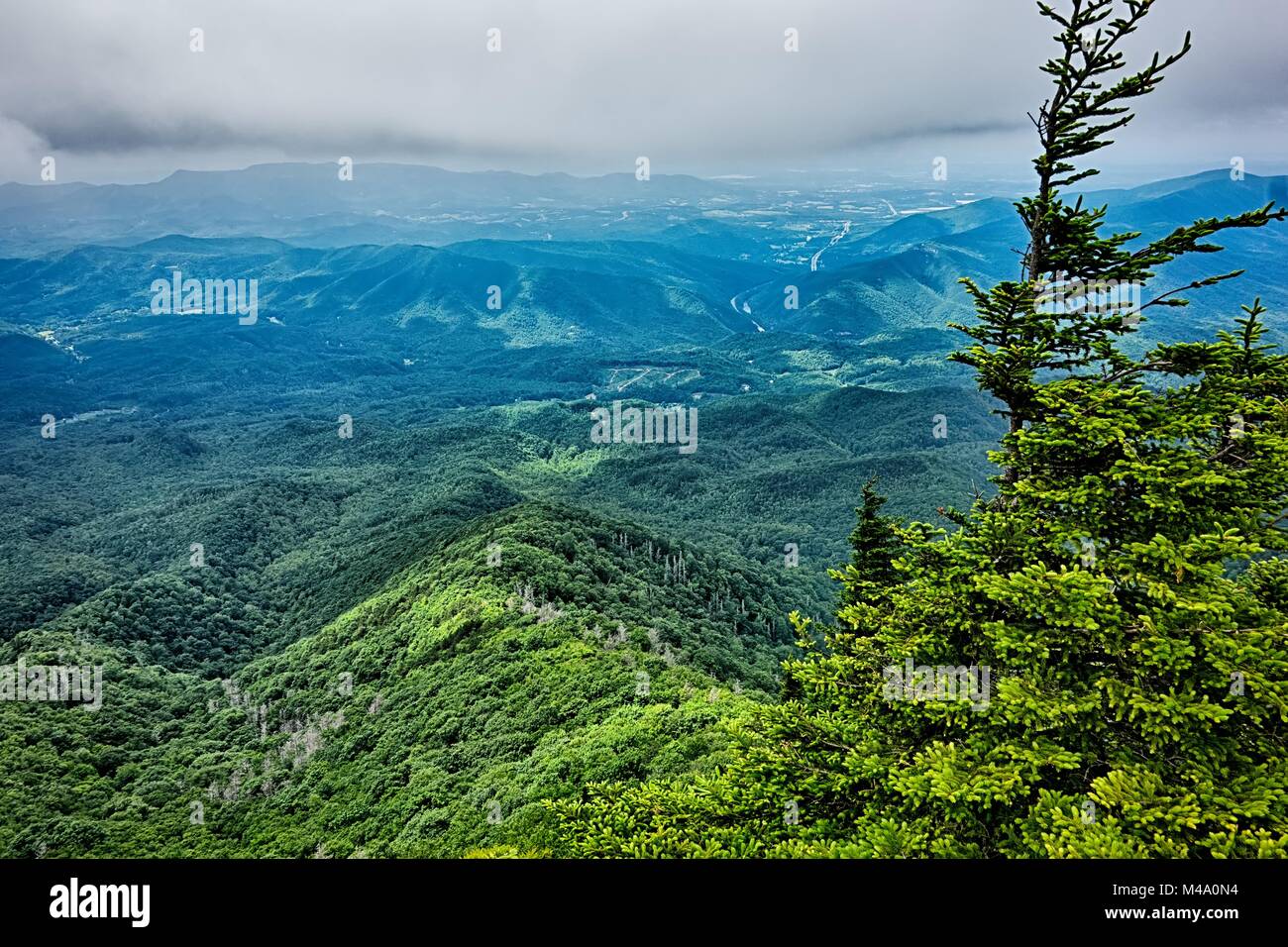 scenes along appalachian trail in great smoky mountains Stock Photo - Alamy