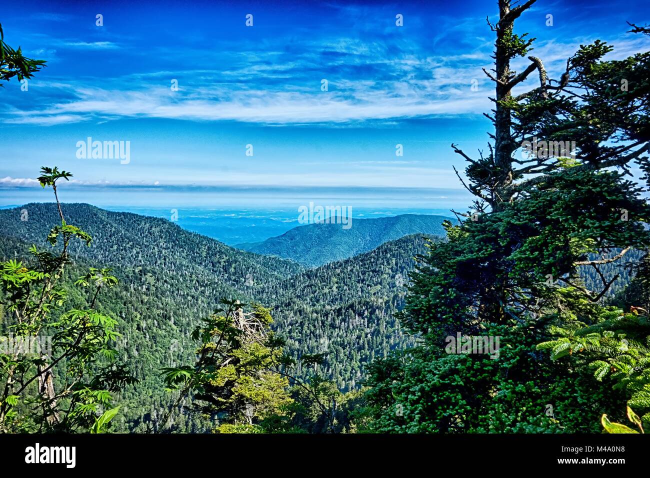 scenes along appalachian trail in great smoky mountains Stock Photo - Alamy