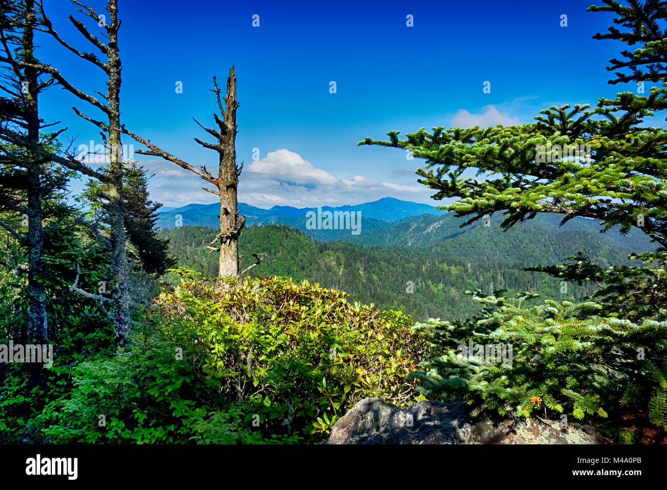 scenes along appalachian trail in great smoky mountains Stock Photo - Alamy