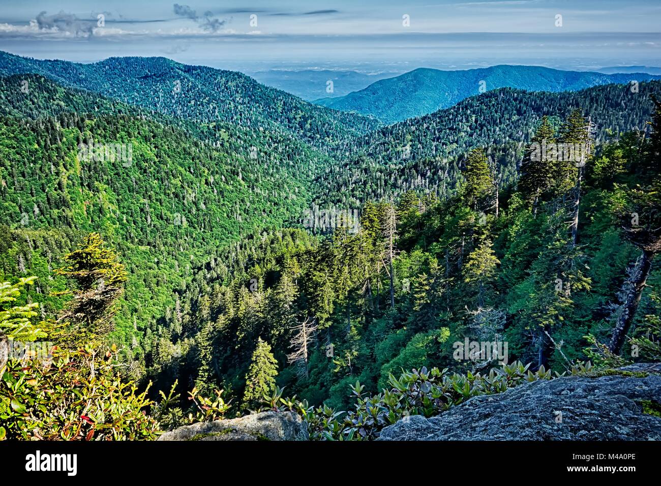 scenes along appalachian trail in great smoky mountains Stock Photo - Alamy