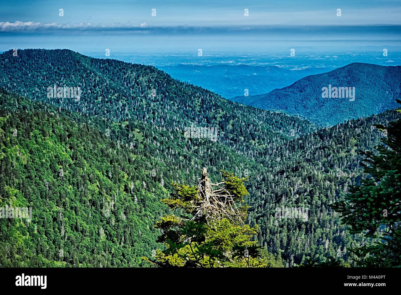 scenes along appalachian trail in great smoky mountains Stock Photo - Alamy