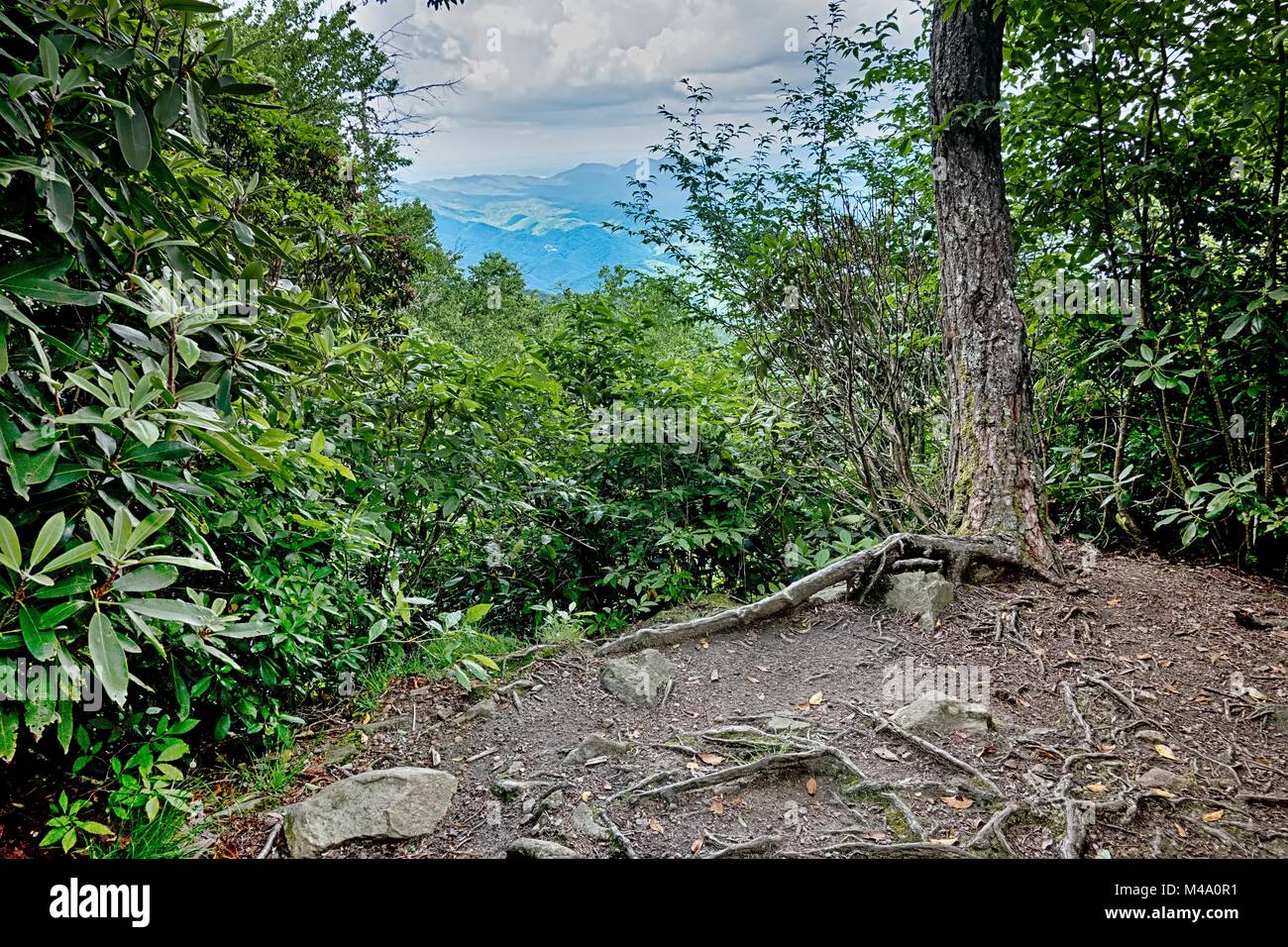 scenes along appalachian trail in great smoky mountains Stock Photo - Alamy